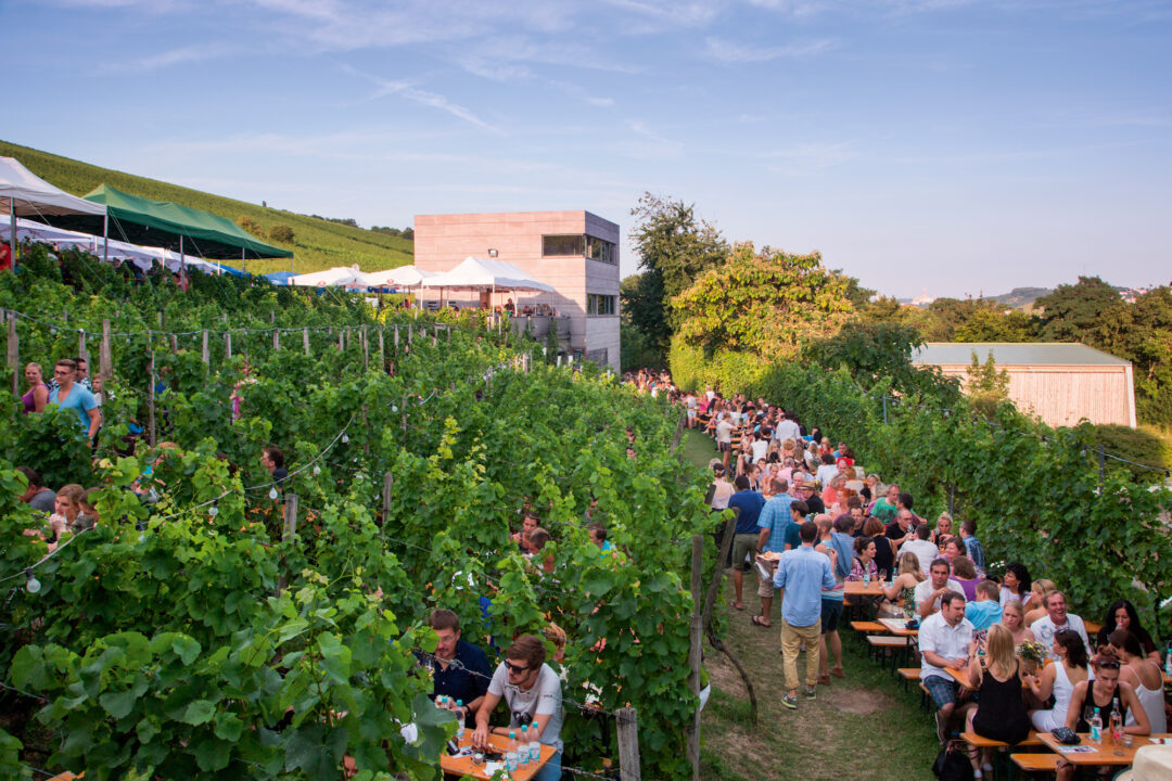 Weinfest-Saison in Würzburg – Franka
